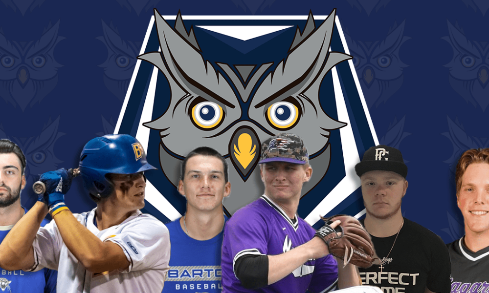 Star player returning, NightOwls loading up on pitchers and catchers ...