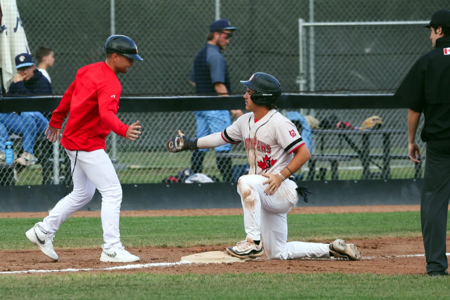 Victoria HarbourCats – Five guys returning as Haney announces six more ...